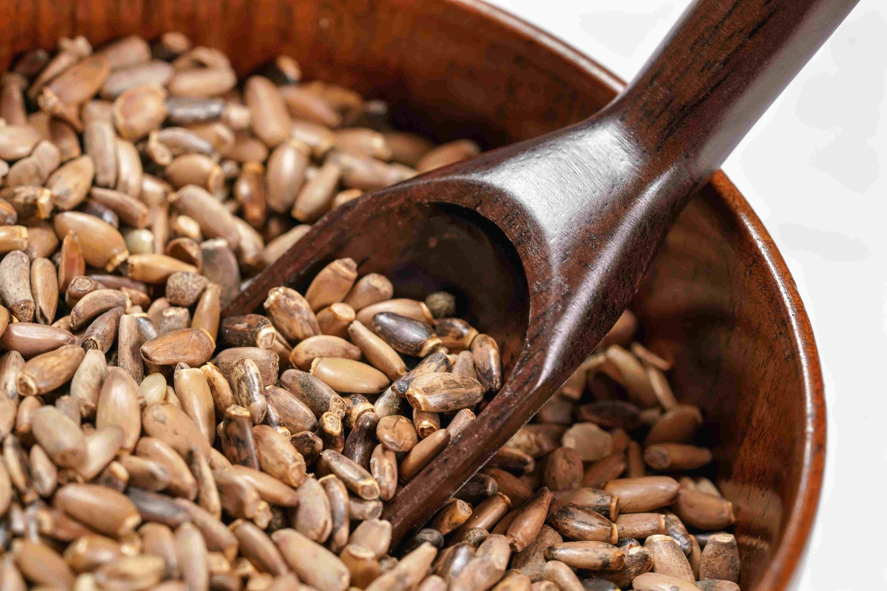 Strong Woman Syrup, 16 oz | Taproot Medicine